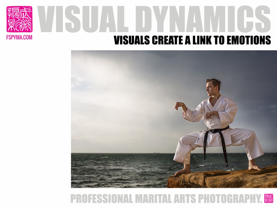 VISUAL DYNAMICS 3 * * CONTROL YOUR VIEWER’S EMOTIONAL RESPONSE | FSPYMA ...